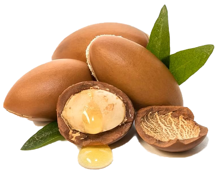 ARGAN OIL BODY LOTION